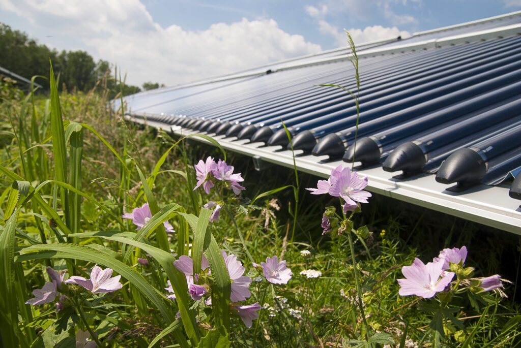 Fotos und Videos zu Solarthermie